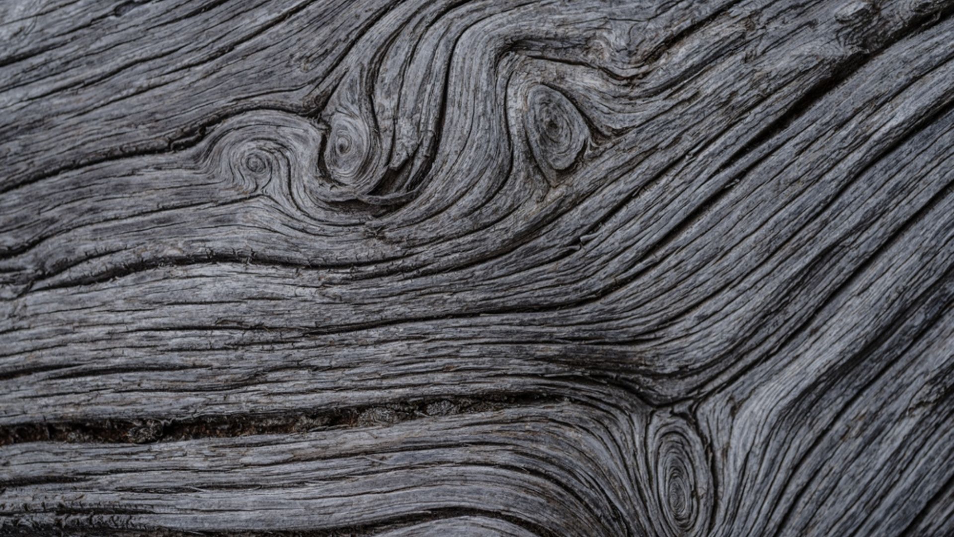 Robustesse organisationnelle et trajectoire de transformation ...